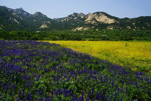 Kunyu mountain - Kunyu Mountain Shaolin martial arts academy China